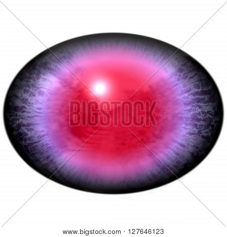 Isolated Eye. Raptor Image & Photo (Free Trial) | Bigstock
