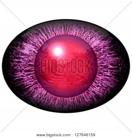 Isolated Eye. Raptor Image & Photo (Free Trial) | Bigstock
