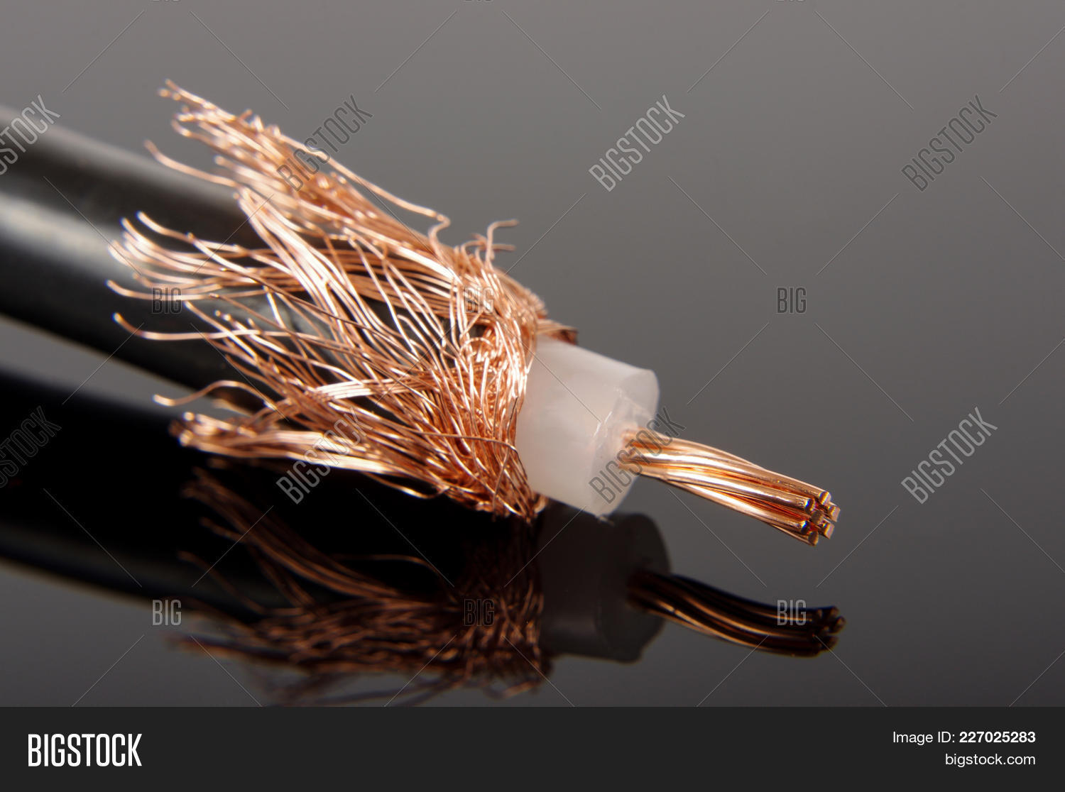 N Type Coaxial Cable Image & Photo (Free Trial) | Bigstock