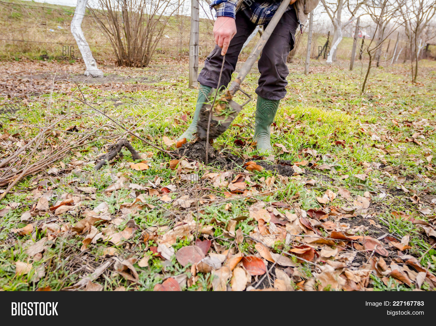 Gardener Using Shovel Image & Photo (Free Trial) | Bigstock