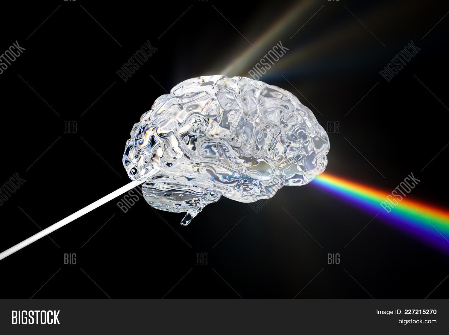 Glass Human Brain Image & Photo (Free Trial) | Bigstock