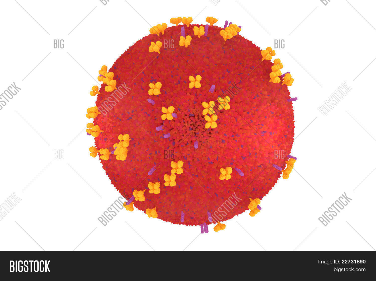 Model Influenza Virus Image & Photo (Free Trial) | Bigstock