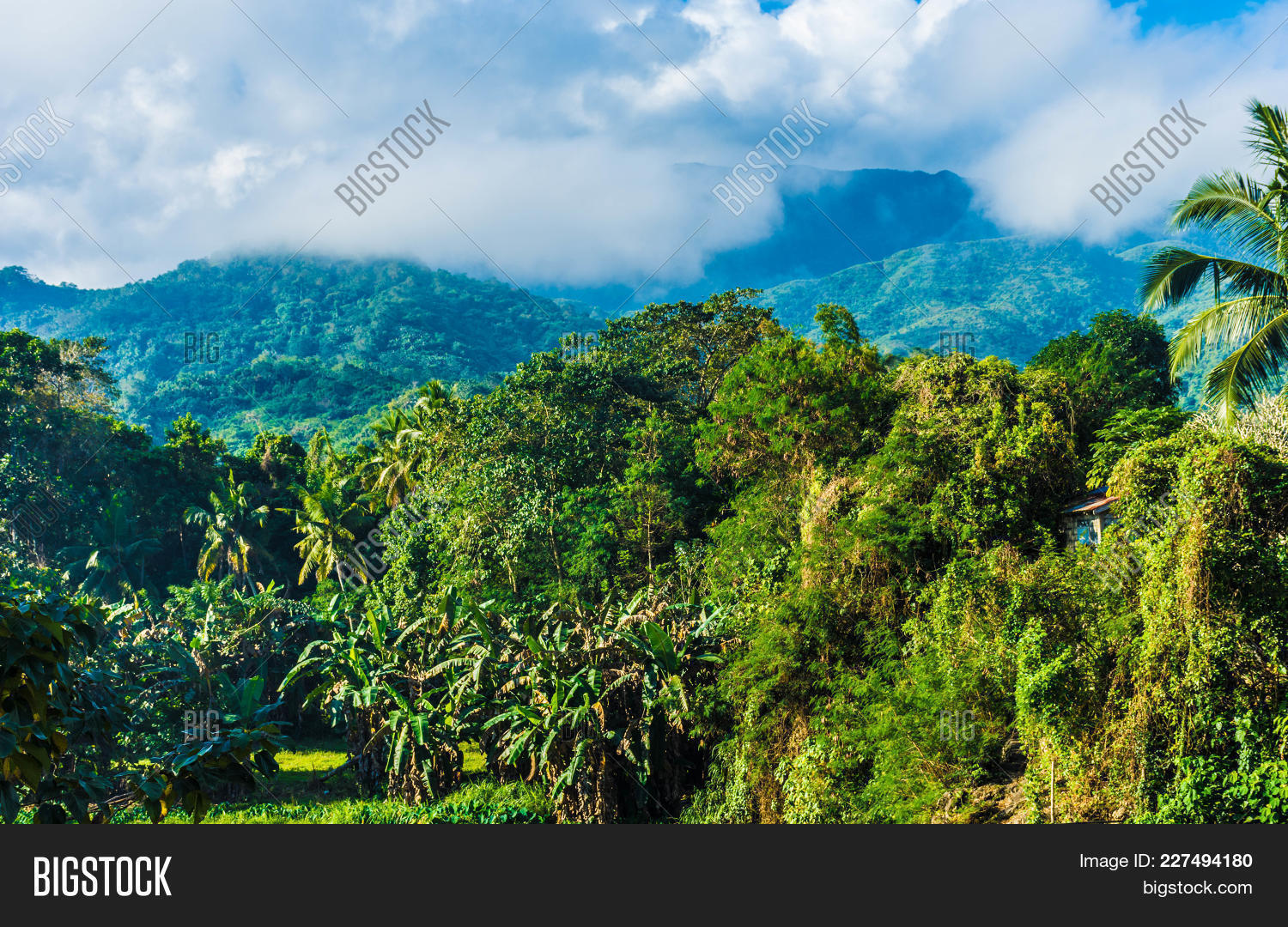Color Image Cagayan Image & Photo (Free Trial) | Bigstock