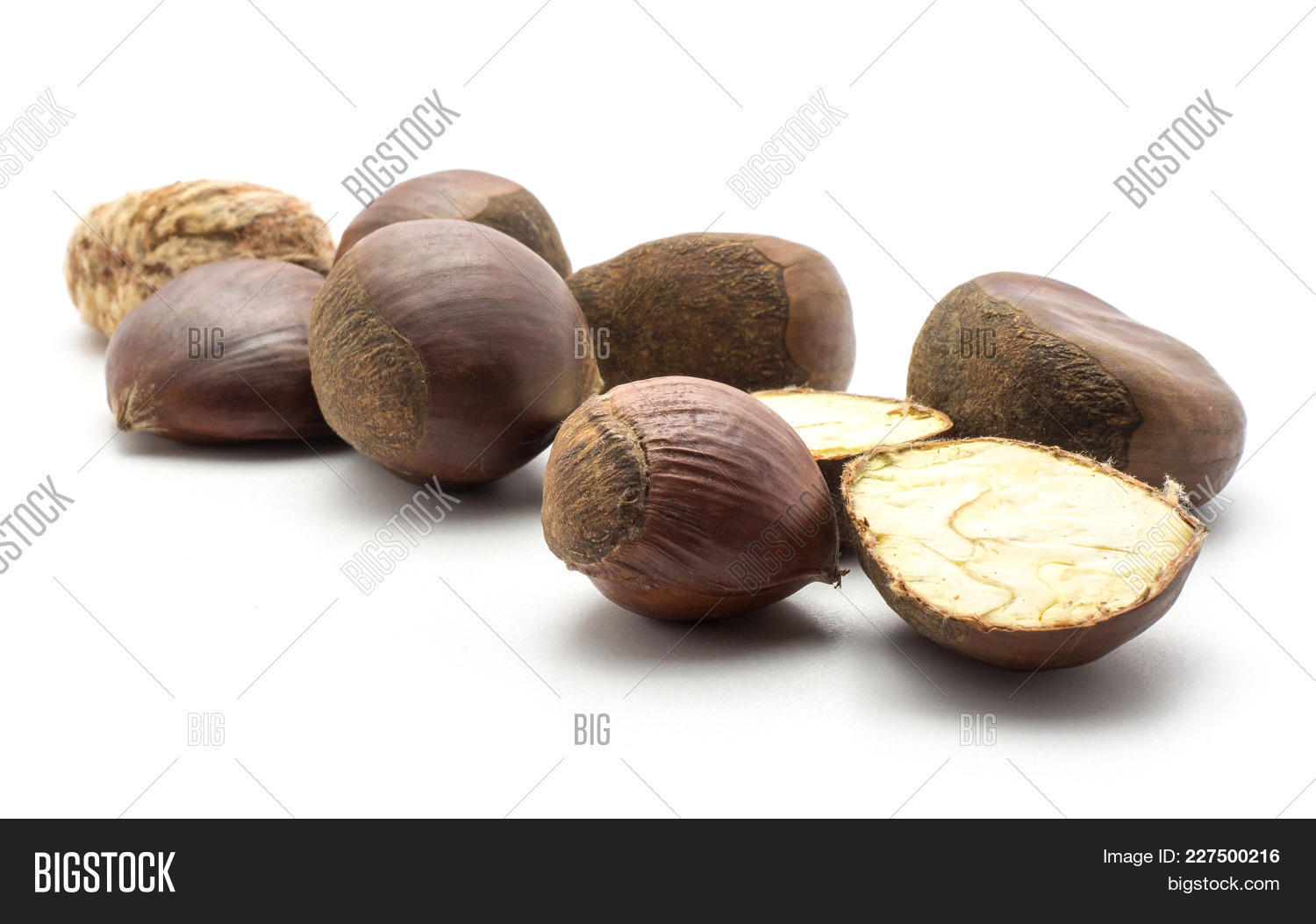 European Chestnuts Image & Photo (Free Trial) | Bigstock