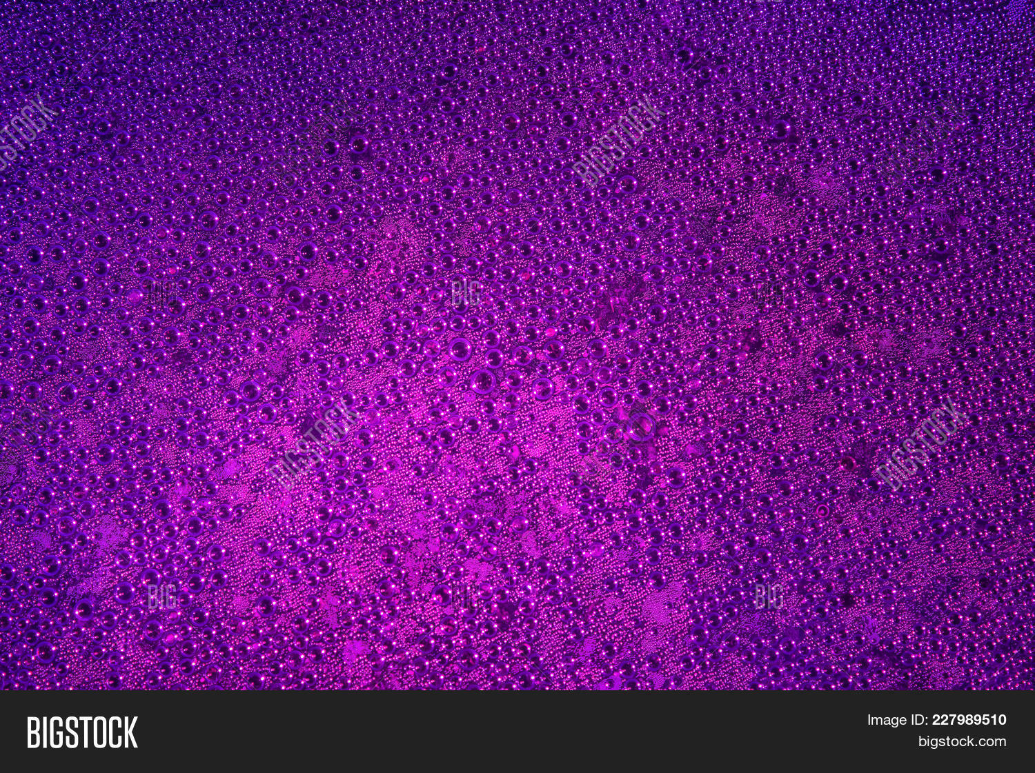 Water Drops Violet Image & Photo (Free Trial) | Bigstock