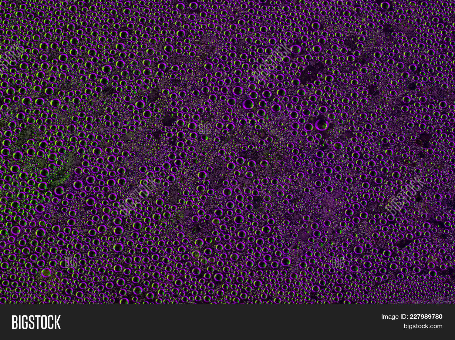 Water Drops Violet Image & Photo (Free Trial) | Bigstock