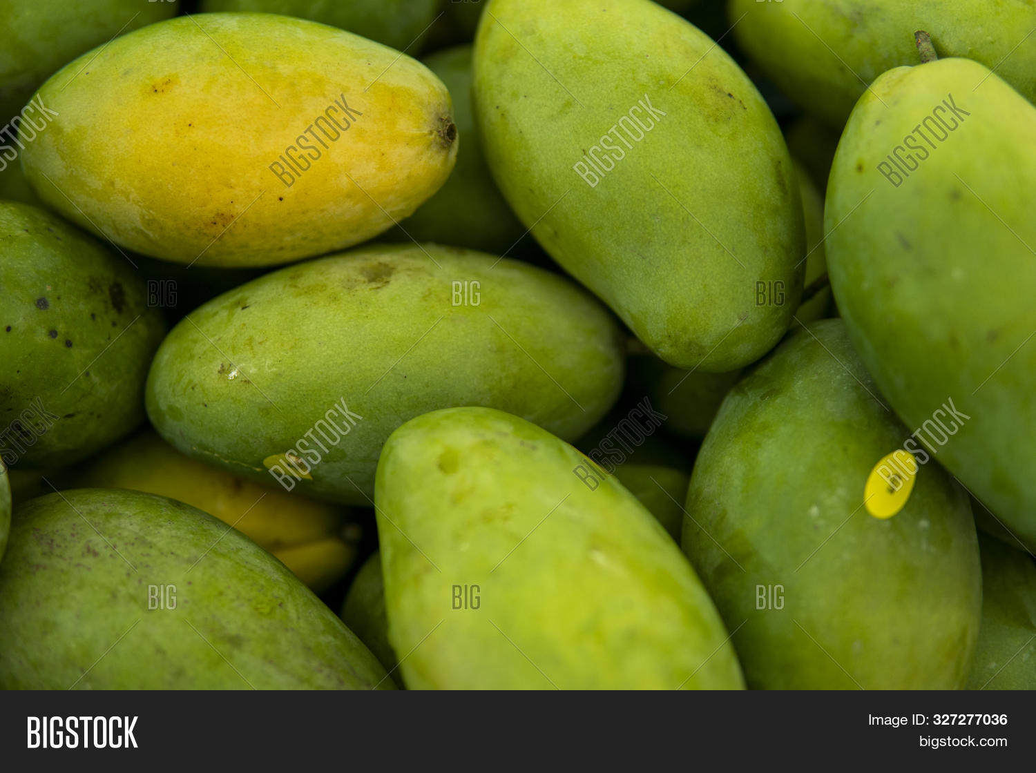 Texture Green Juicy Image & Photo (Free Trial) | Bigstock
