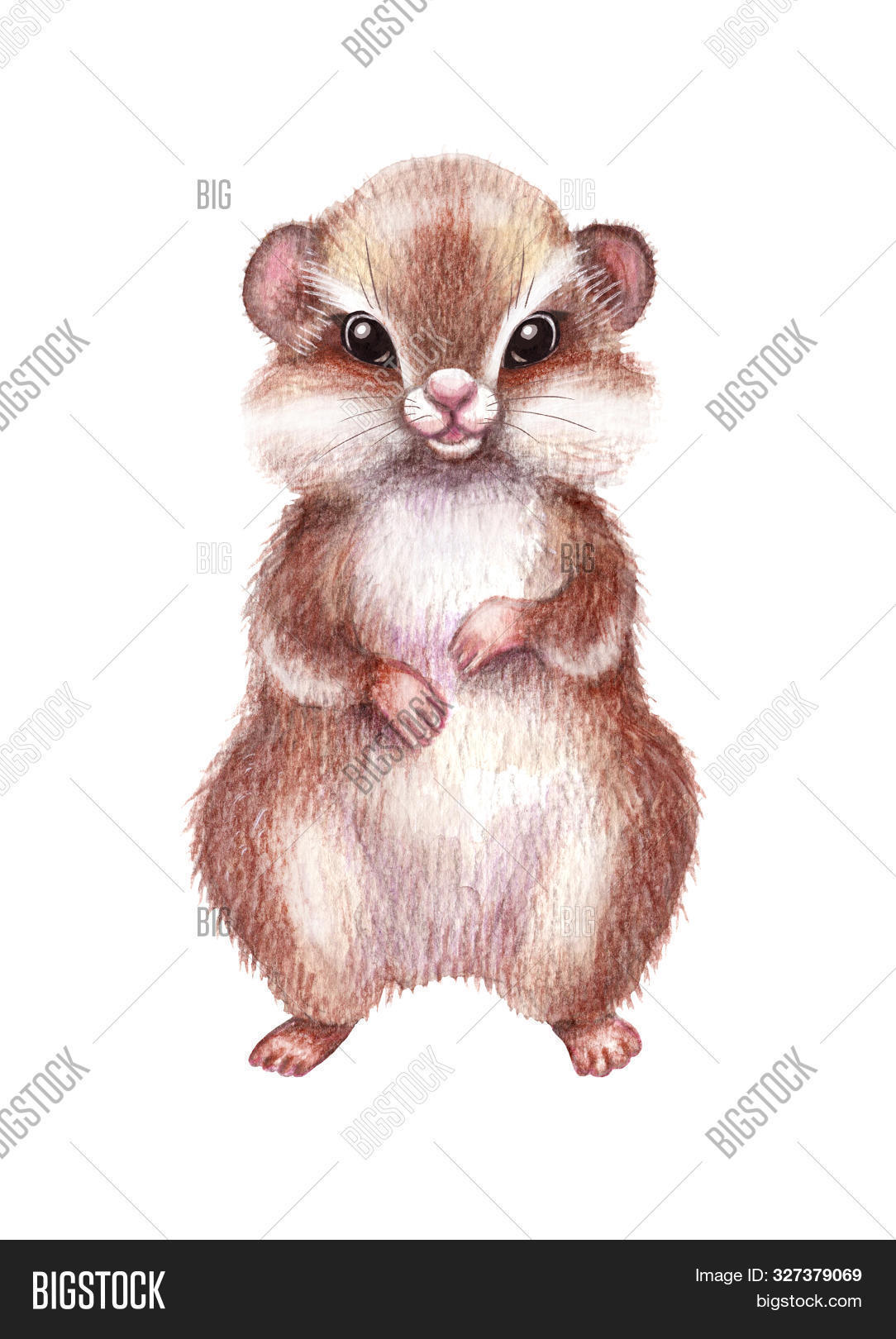 Hand Drawn Hamster Image & Photo (Free Trial) | Bigstock