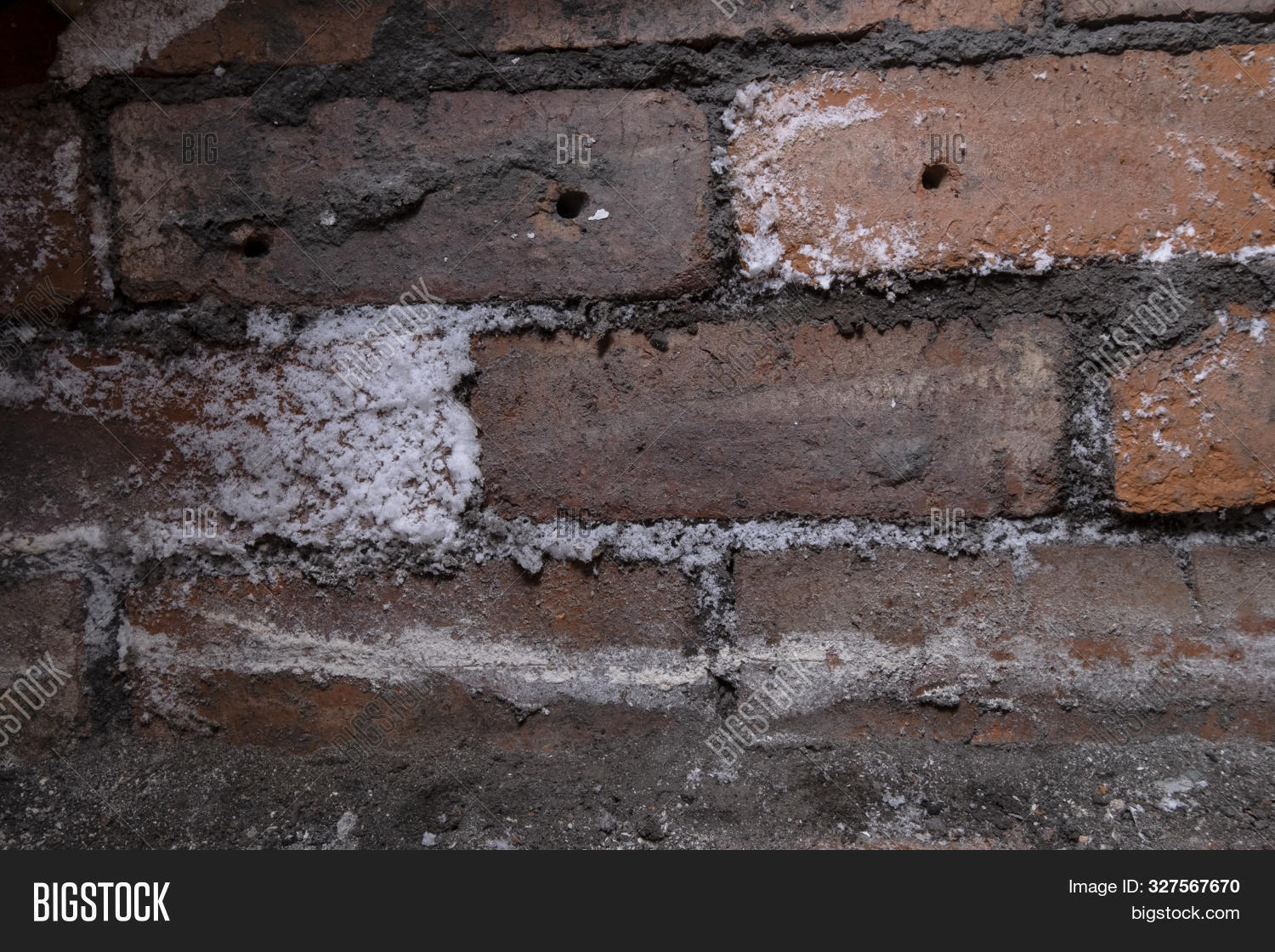 Rising Damp, Salt Image & Photo (Free Trial) | Bigstock