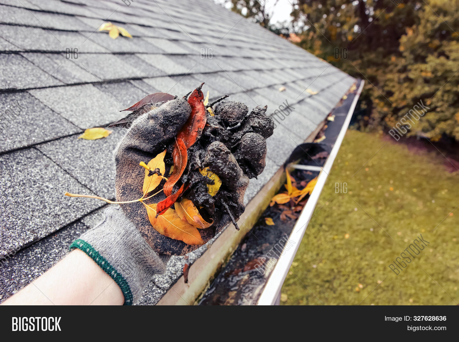 Cleaning Leaves Debris Image & Photo (Free Trial) | Bigstock