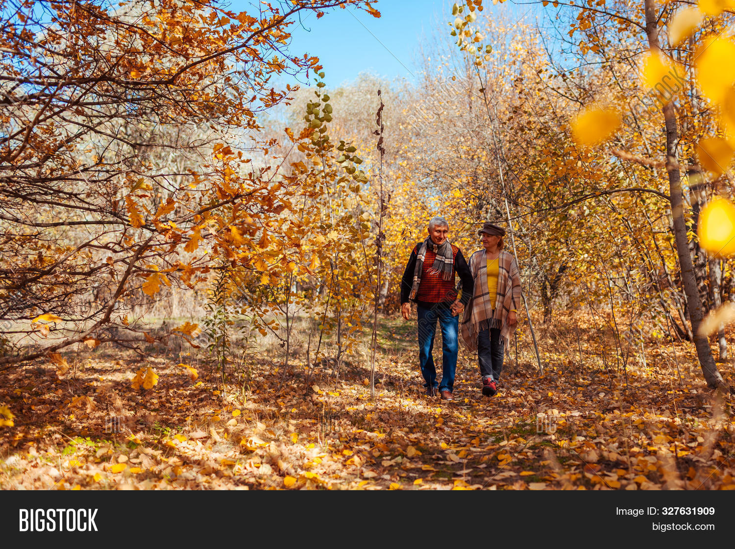 Fall Activities. Image & Photo (Free Trial) | Bigstock