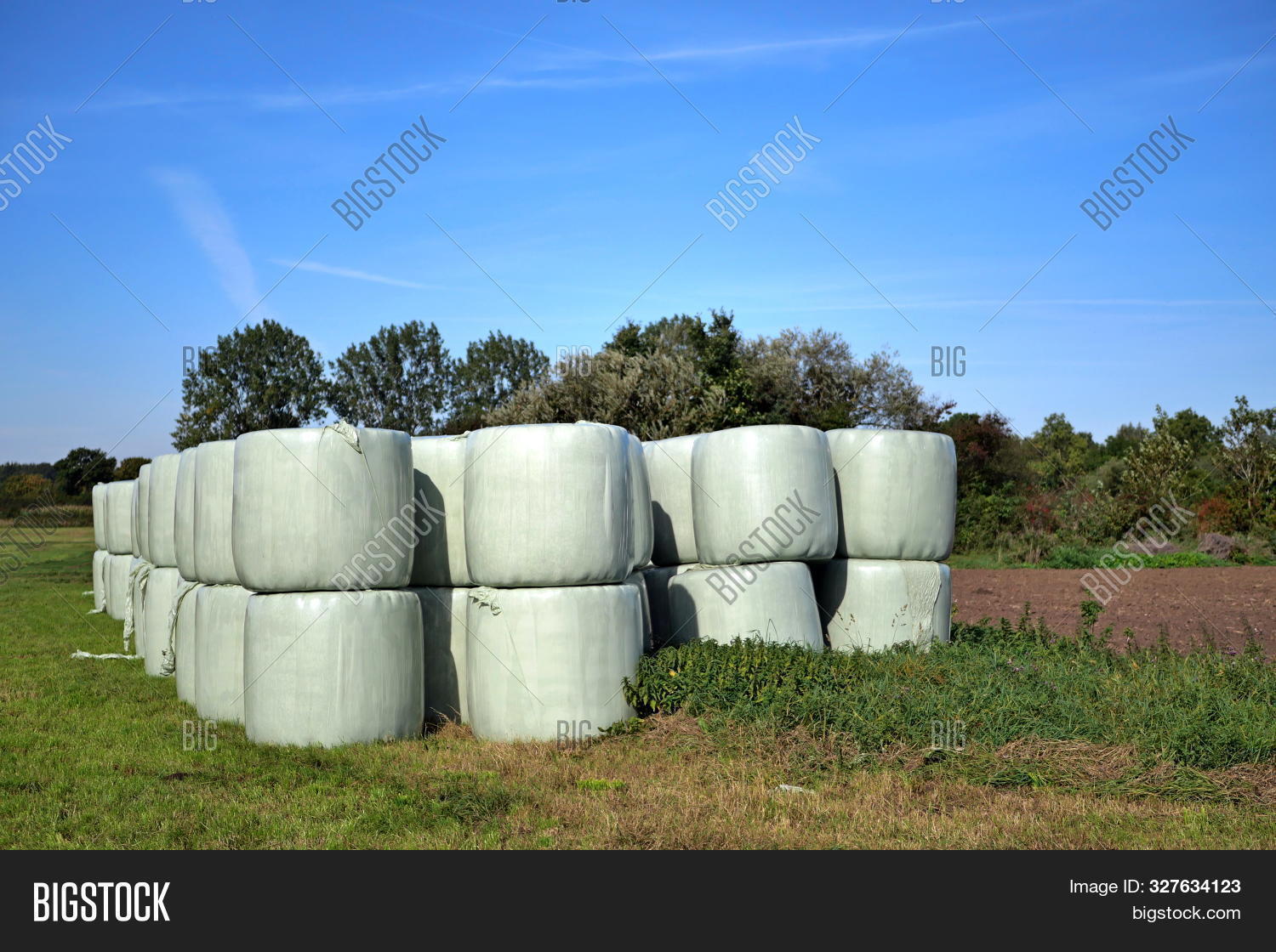 Runballs, Hay Bales Image & Photo (Free Trial) | Bigstock