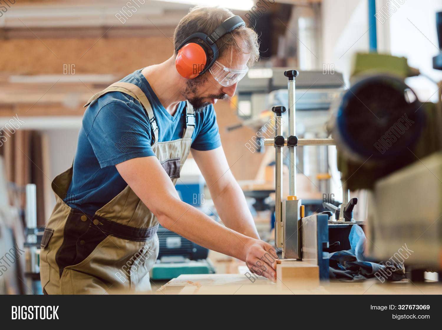 Absorbed Carpenter Ear Image & Photo (Free Trial) | Bigstock