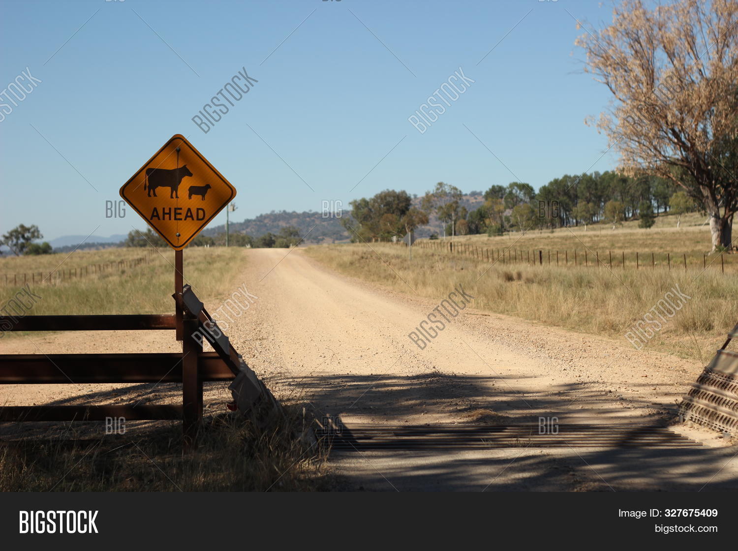 Farm Property Cattle Image & Photo (Free Trial) | Bigstock