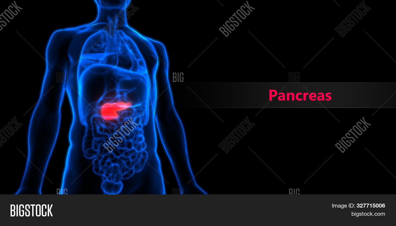 3d Illustration Image & Photo (Free Trial) | Bigstock