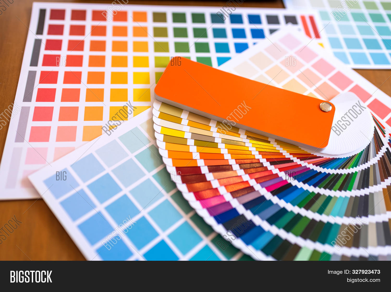 Color Swatches Graphic Image & Photo (Free Trial) | Bigstock