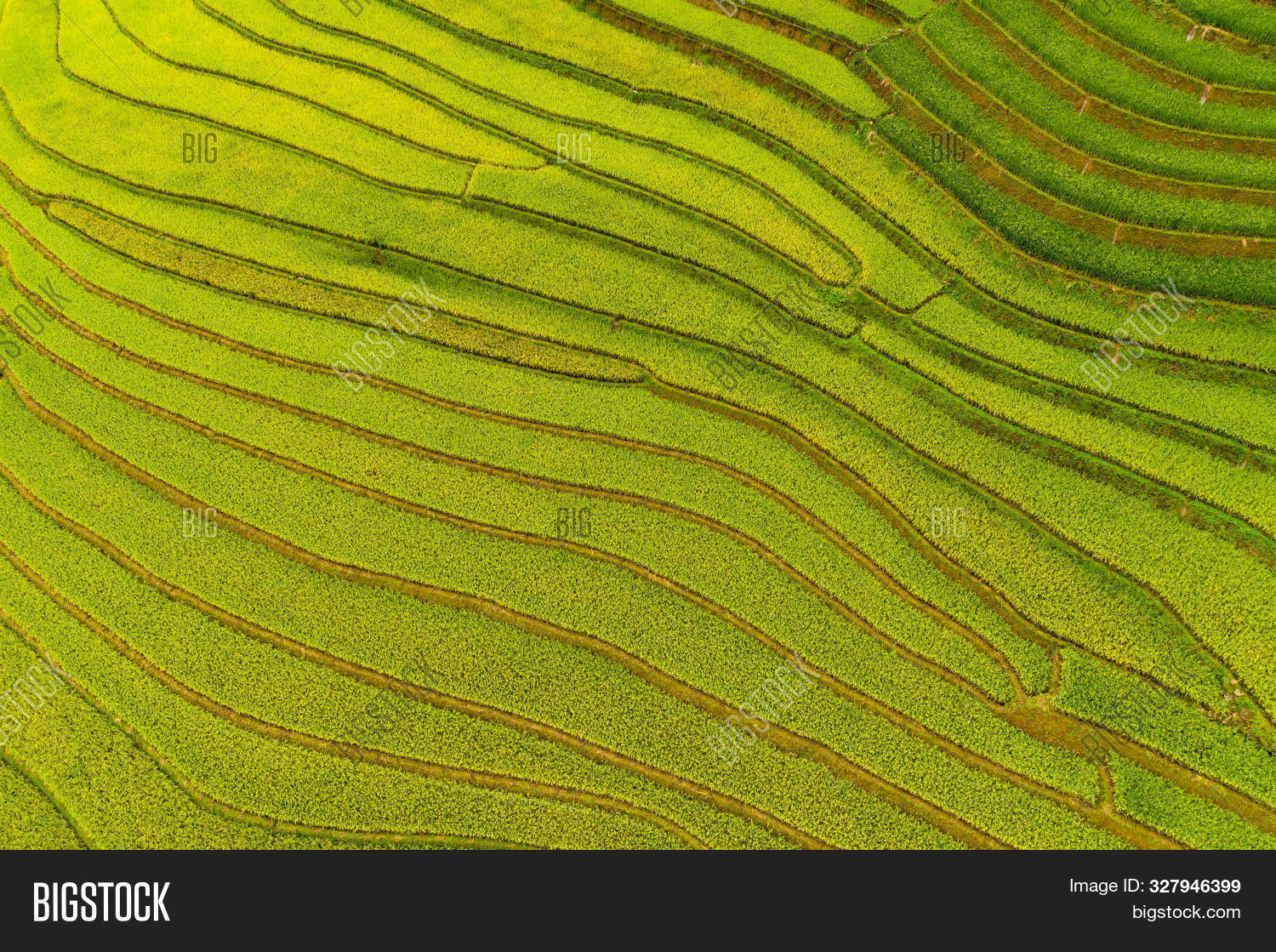 Aerial Top View Fresh Image & Photo (Free Trial) | Bigstock
