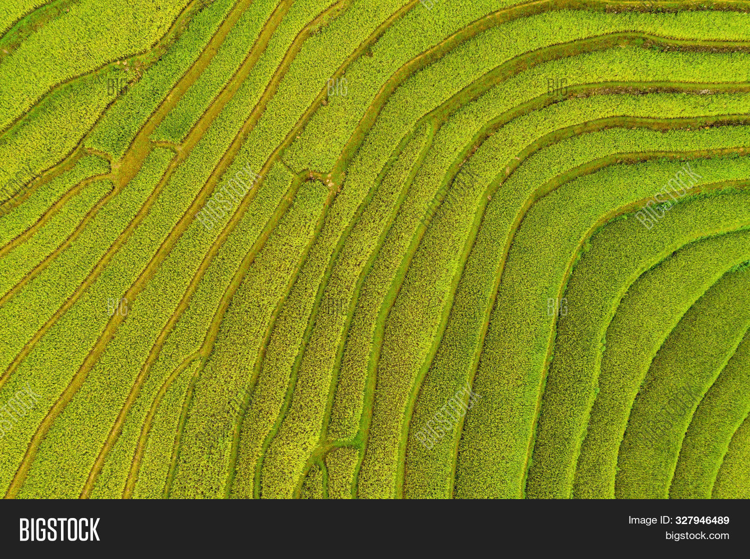 Aerial Top View Fresh Image & Photo (Free Trial) | Bigstock