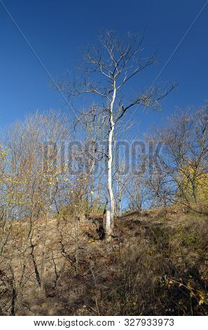 Earthen Rampart Image & Photo (Free Trial) | Bigstock