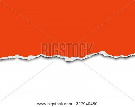 Torn Half Sheet Vector & Photo (Free Trial) | Bigstock