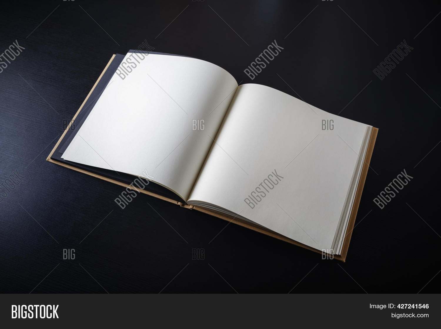 Blank Open Book On Image & Photo (Free Trial) | Bigstock