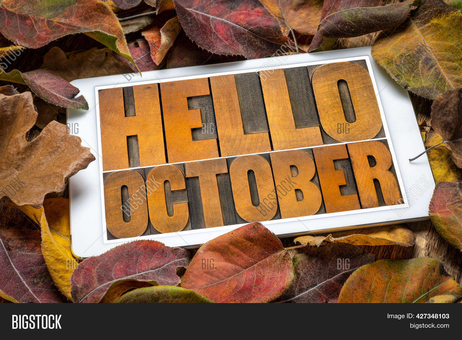 Hello October - Word Image & Photo (Free Trial) | Bigstock