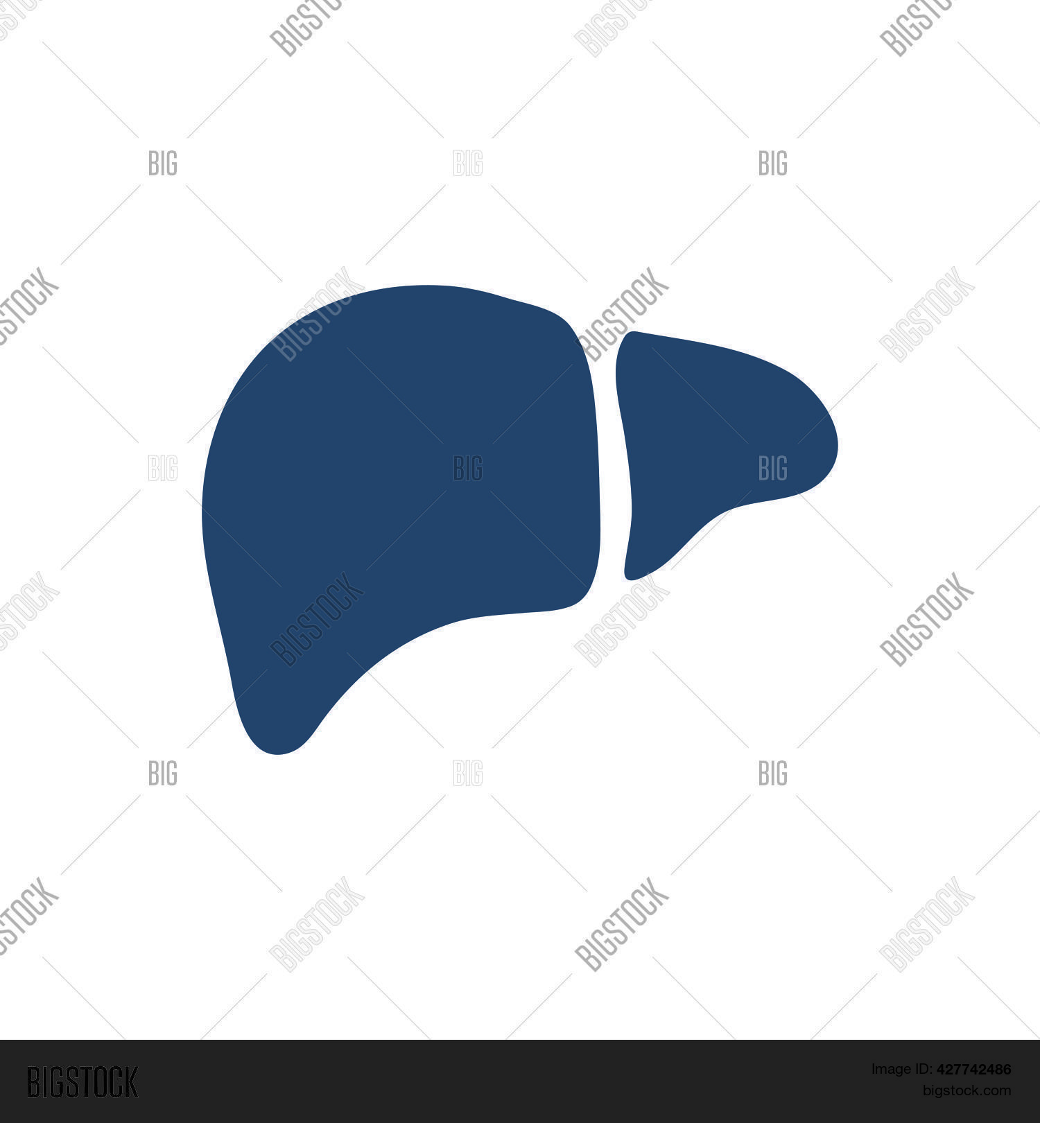 Hepatology Icon. Vector & Photo (Free Trial) | Bigstock