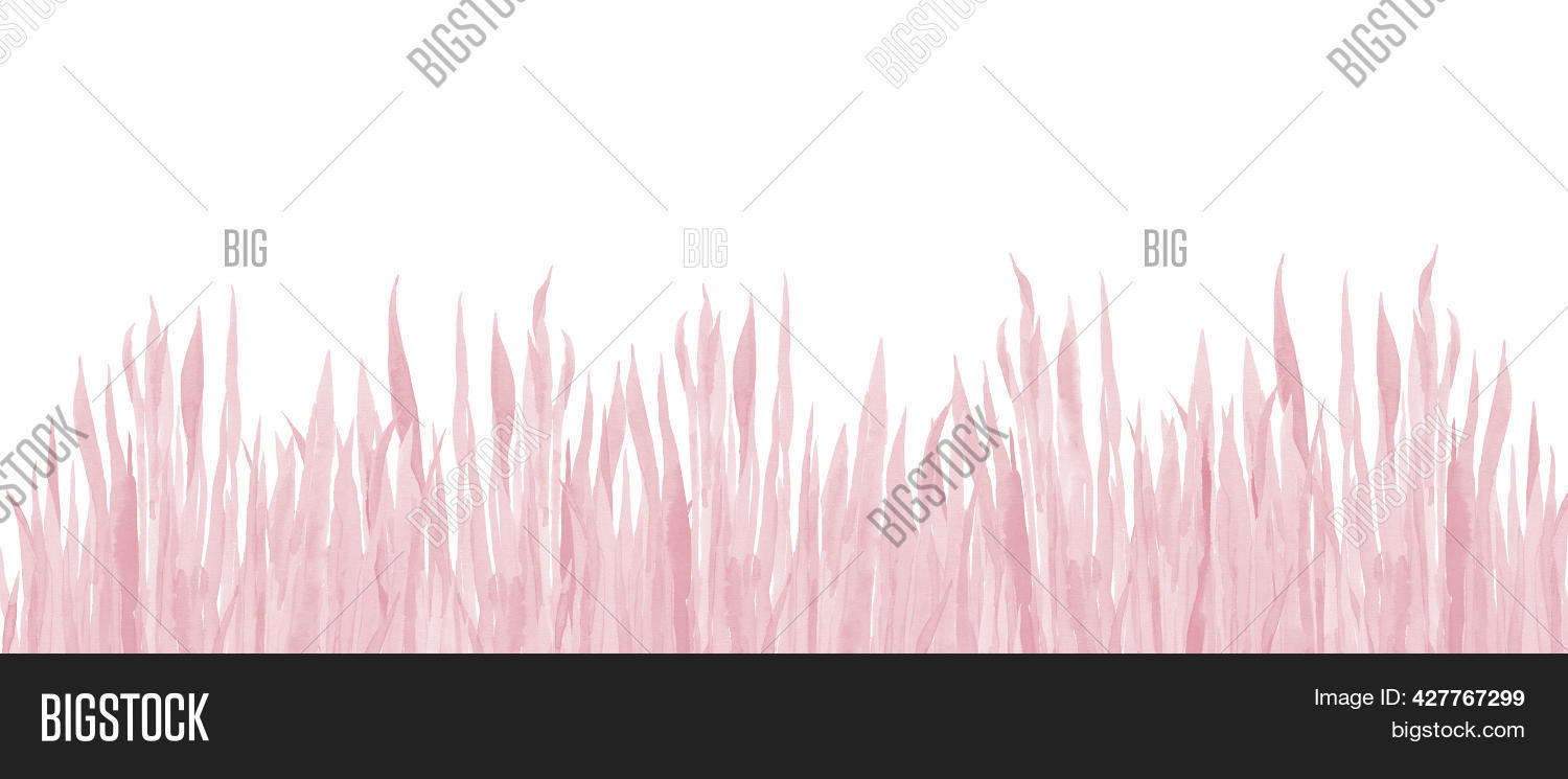 Pastel Pink Grass Image & Photo (Free Trial) | Bigstock