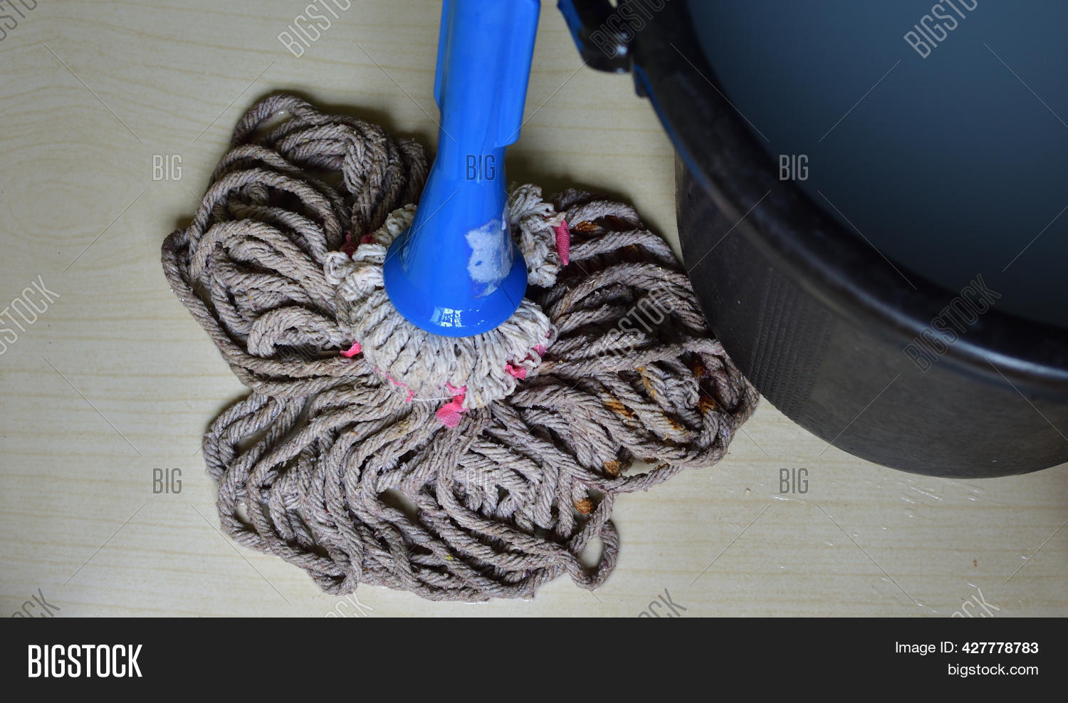 Wipe Floor Mop - Image & Photo (Free Trial) | Bigstock