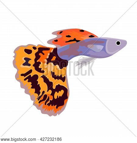 Guppy Fish Icon. Vector & Photo (Free Trial) | Bigstock