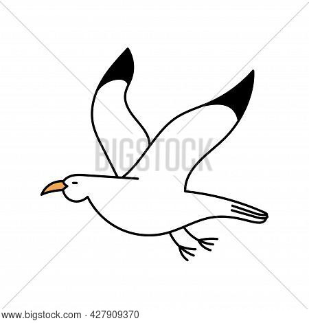 Cute Seagull Doodle Vector & Photo (Free Trial) | Bigstock