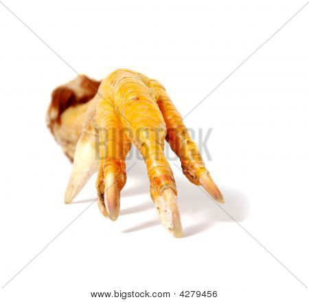 Chicken Claw Image & Photo (Free Trial) | Bigstock