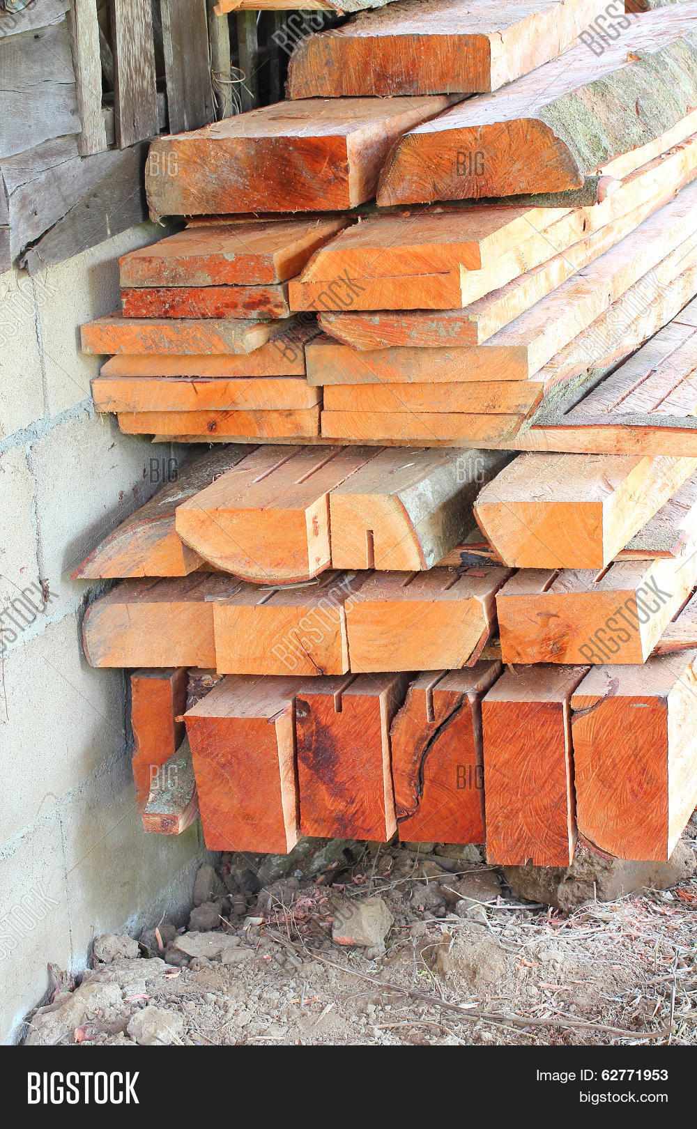 Cross Section Detail Image & Photo (Free Trial) | Bigstock