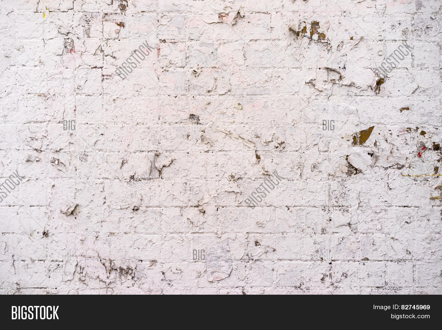 Neutral White Square Image & Photo (Free Trial) | Bigstock
