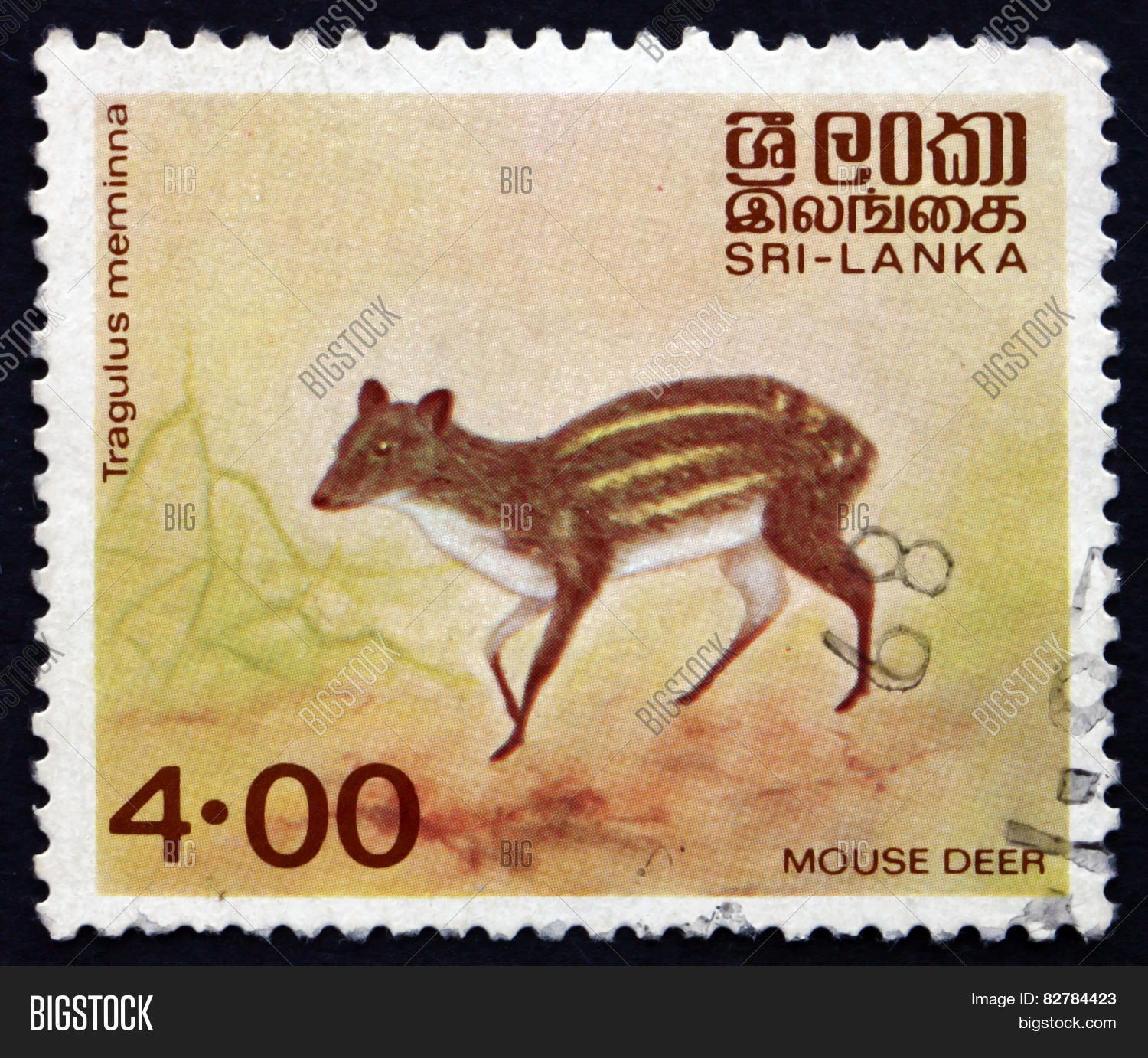 Postage Stamp Sri Image & Photo (Free Trial) | Bigstock