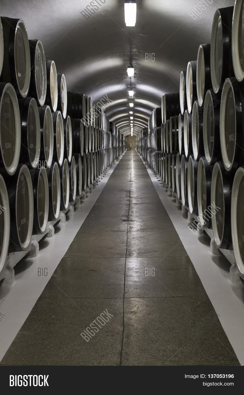 Wine Barrels Cellars Image & Photo (Free Trial) | Bigstock