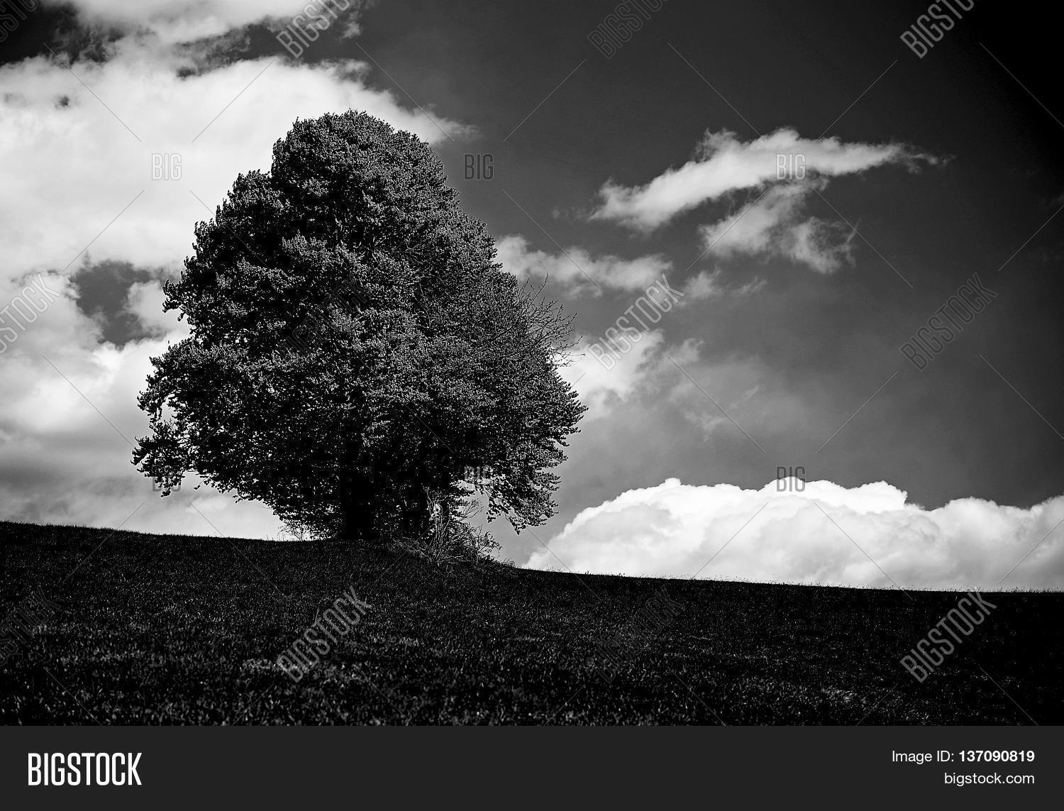 Very Dark Bleak Image & Photo (Free Trial) | Bigstock