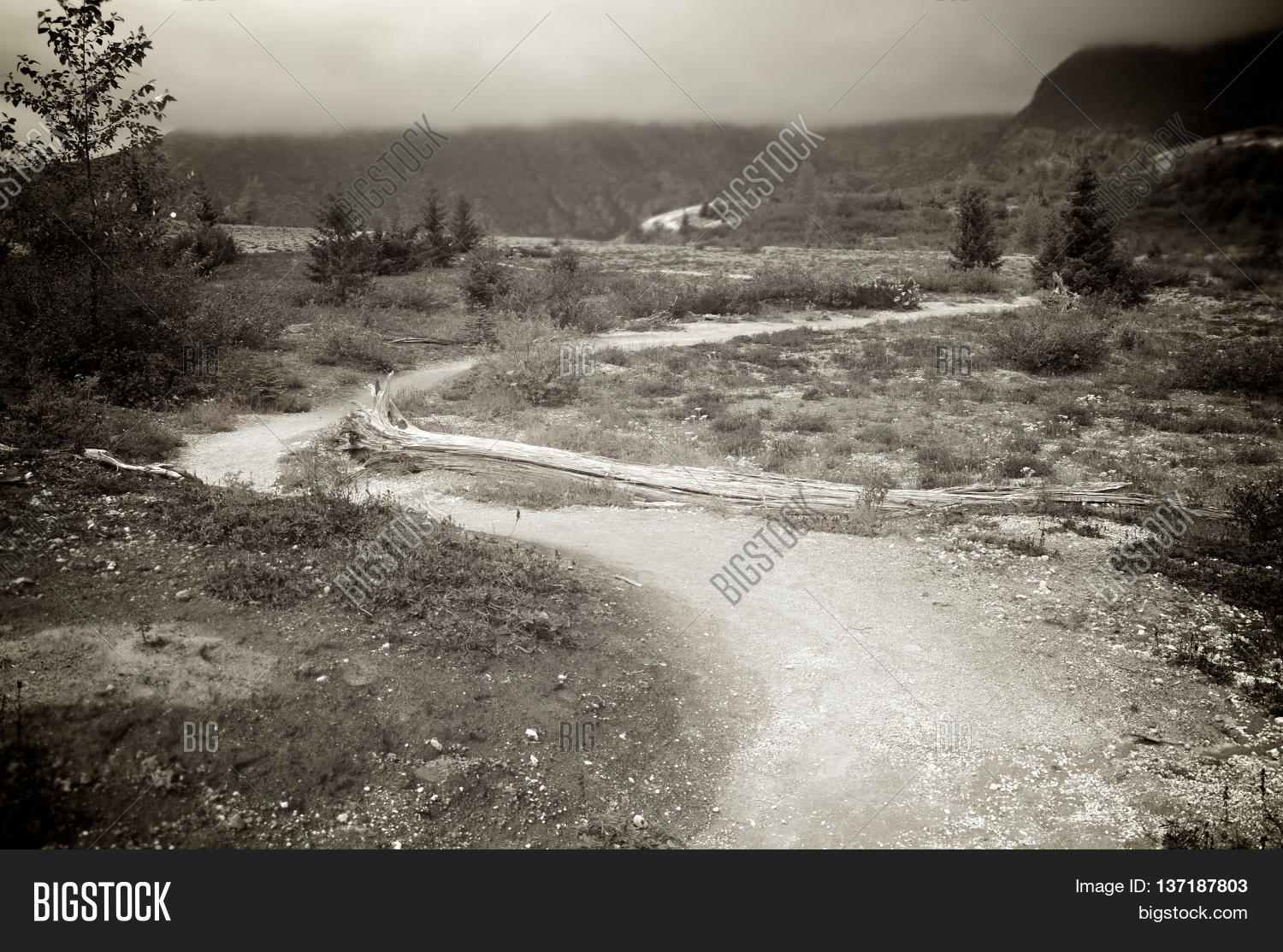 Narrow Twisting Path Image & Photo (Free Trial) | Bigstock