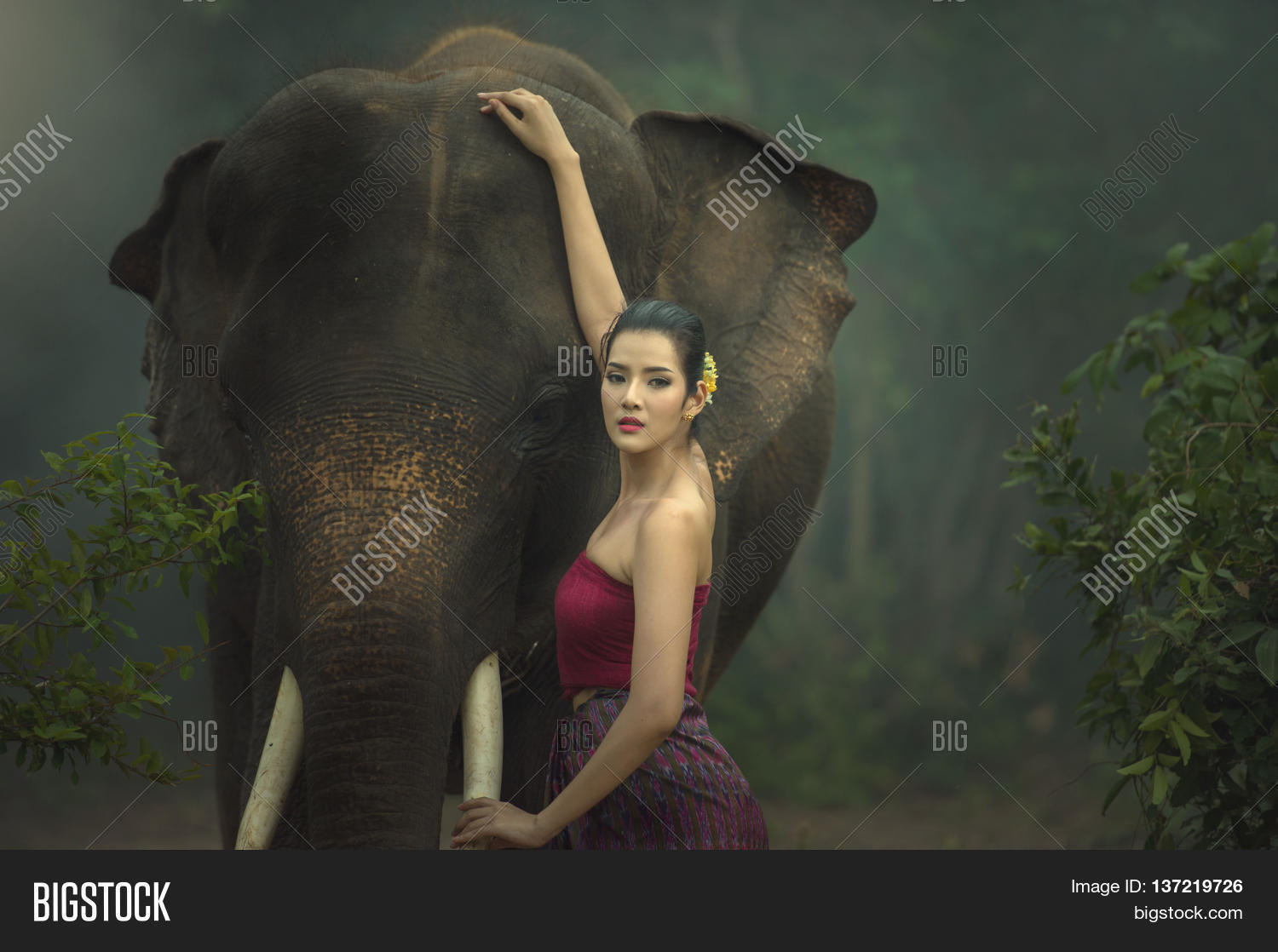 Elephant Woman Image & Photo (Free Trial) | Bigstock
