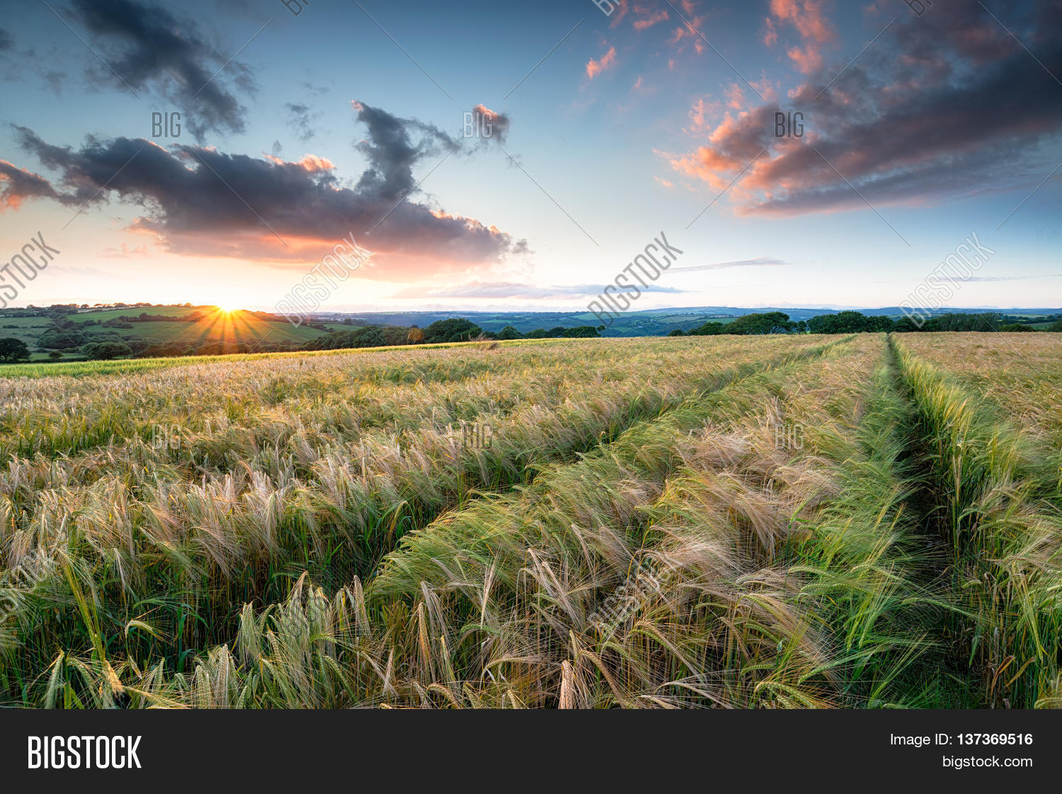 Beautiful Sunset Over Image & Photo (Free Trial) | Bigstock