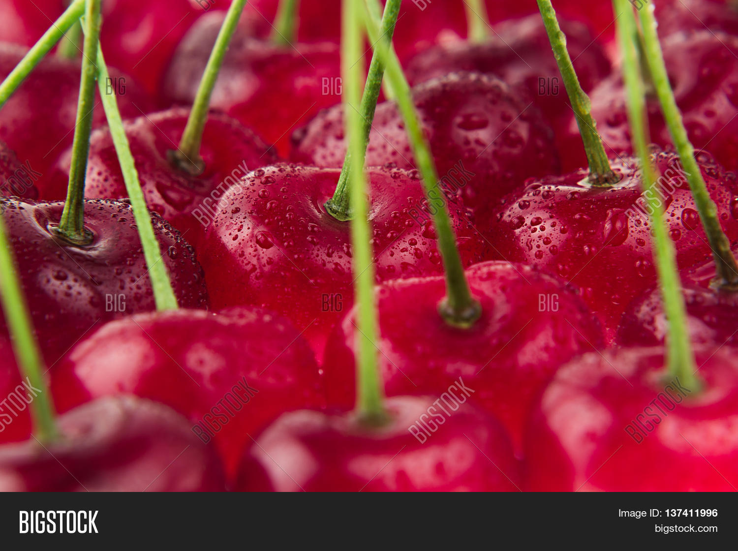 Cherry Background. Image & Photo (Free Trial) | Bigstock