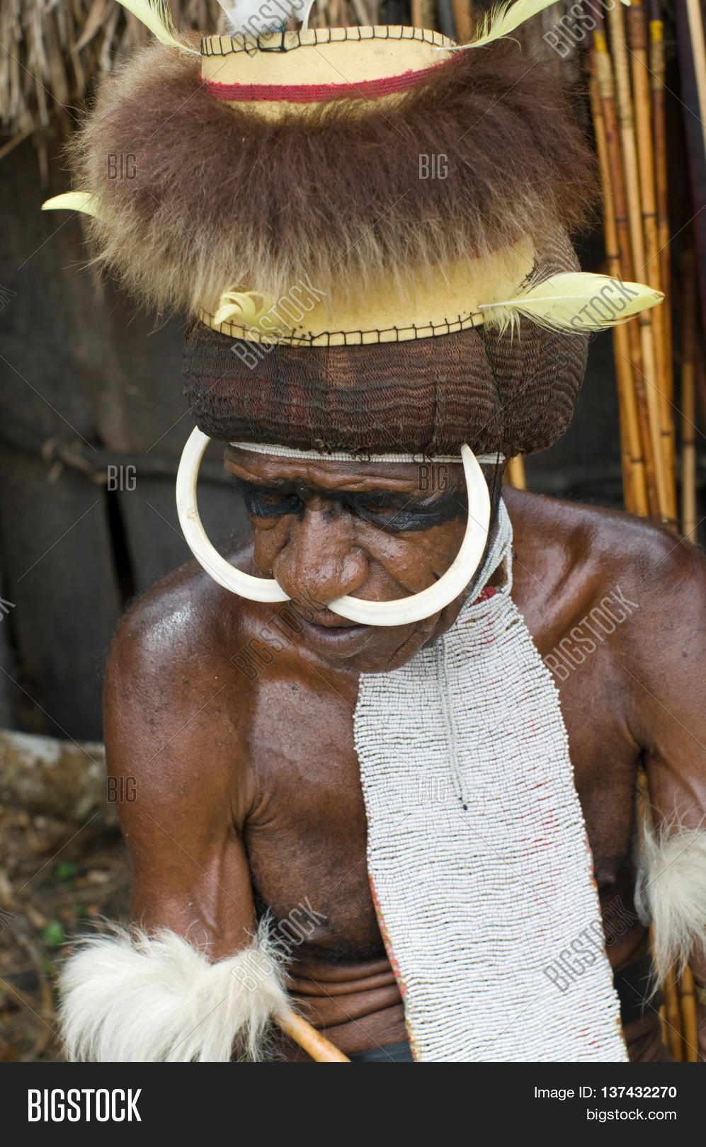 Warrior Papuan Tribe Image & Photo (Free Trial) | Bigstock