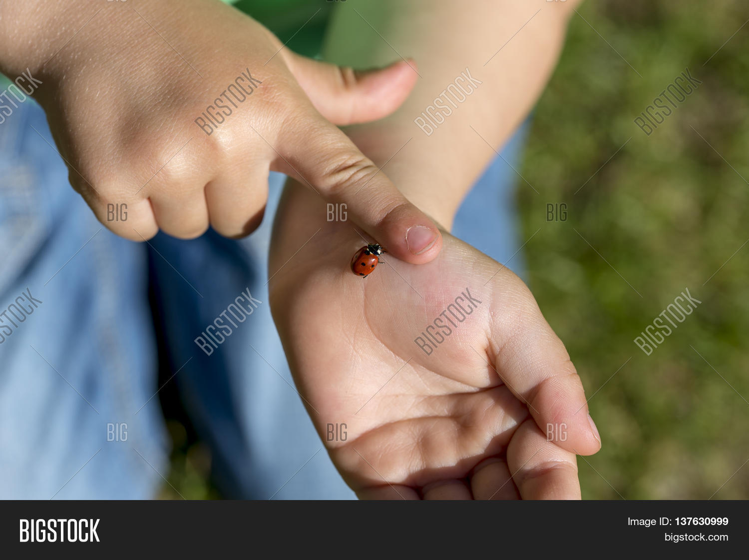 Young Child Fascinated Image & Photo (Free Trial) | Bigstock