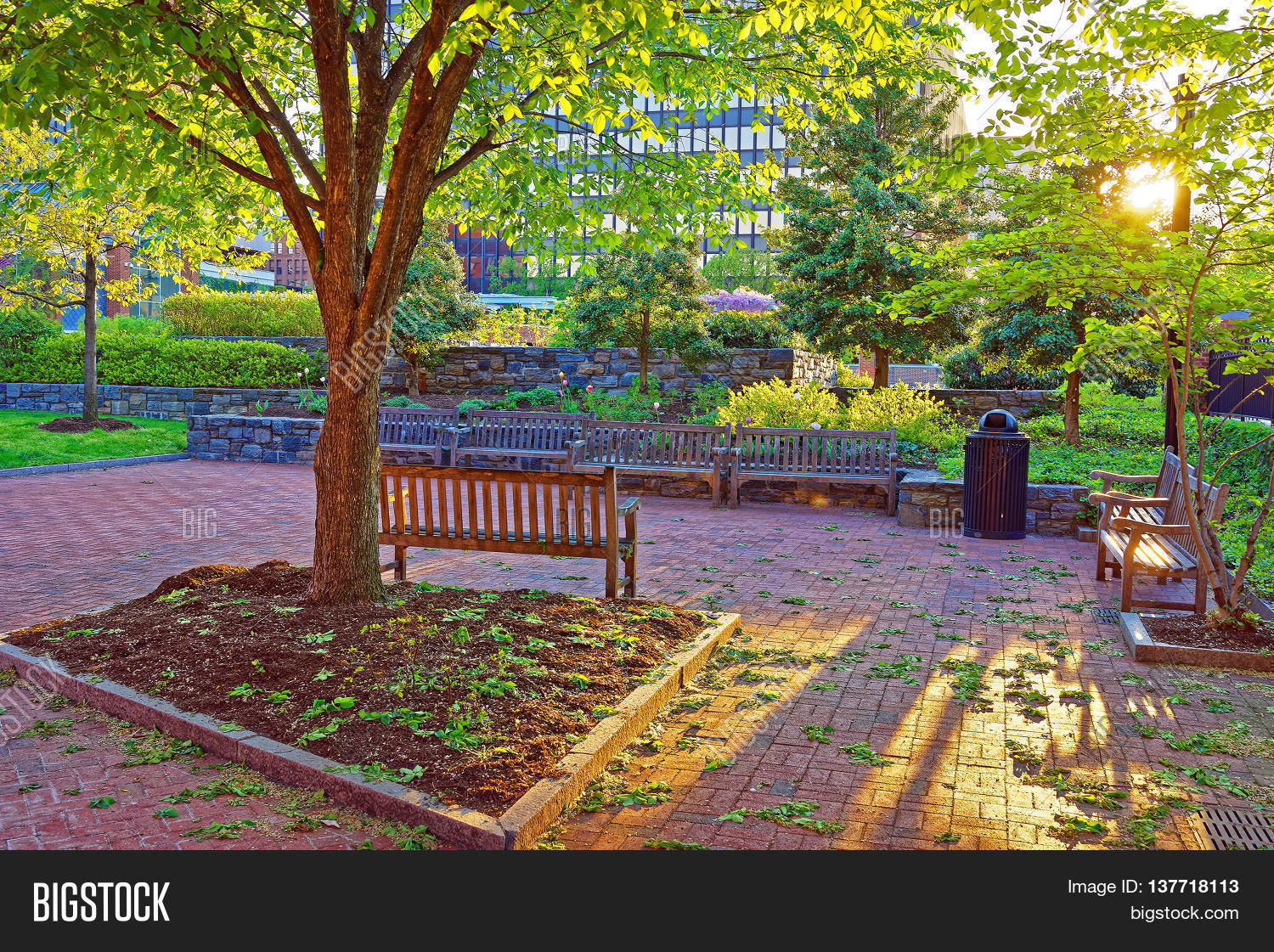 Romantic Sunset Park Image & Photo (Free Trial) | Bigstock