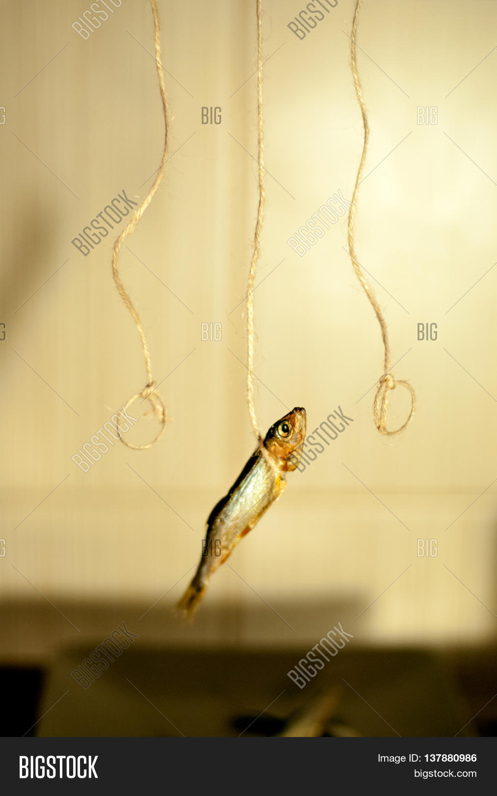Smoked Capelin Fish Image & Photo (Free Trial) | Bigstock