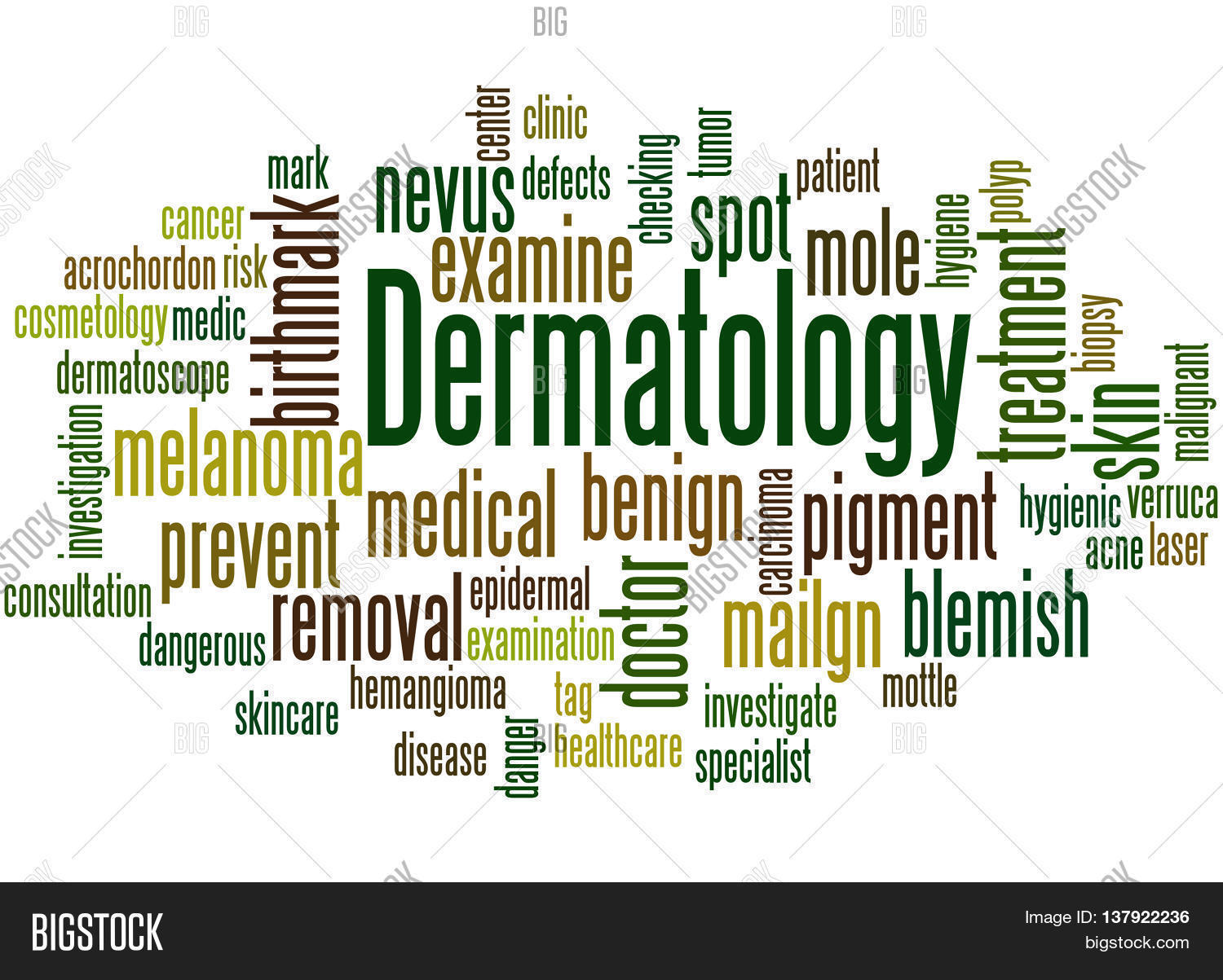 Dermatology, Word Image & Photo (Free Trial) | Bigstock