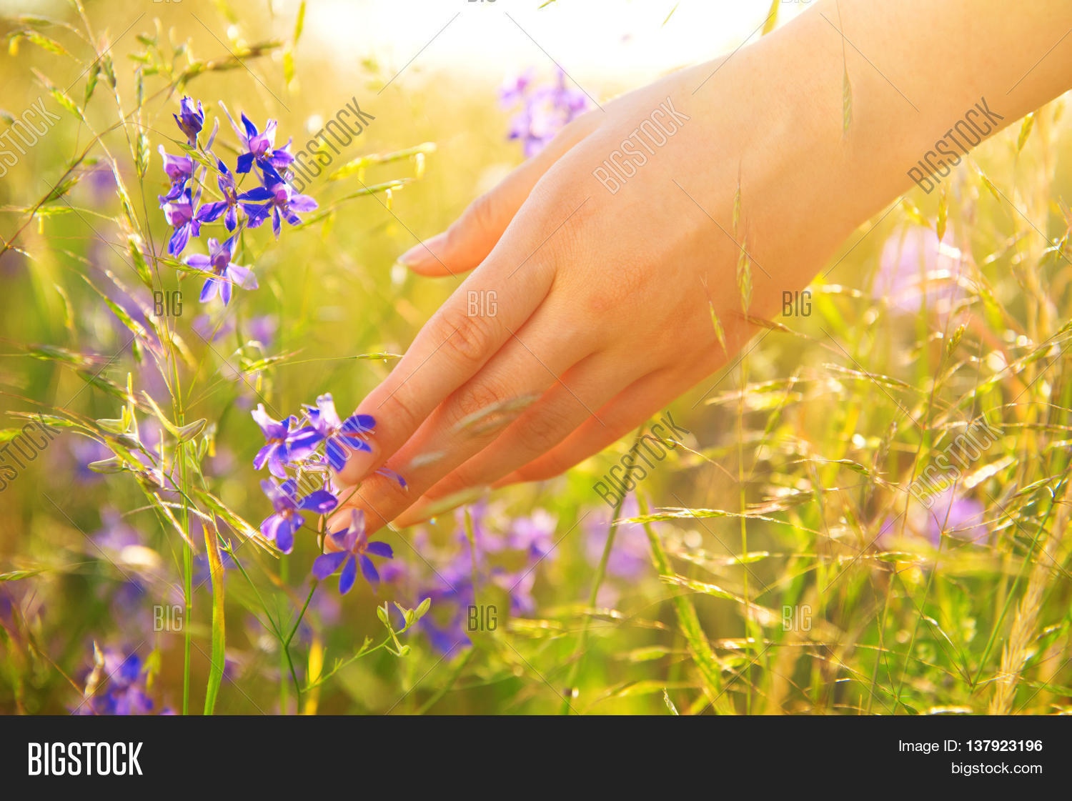 Woman Hand Running Image & Photo (Free Trial) | Bigstock