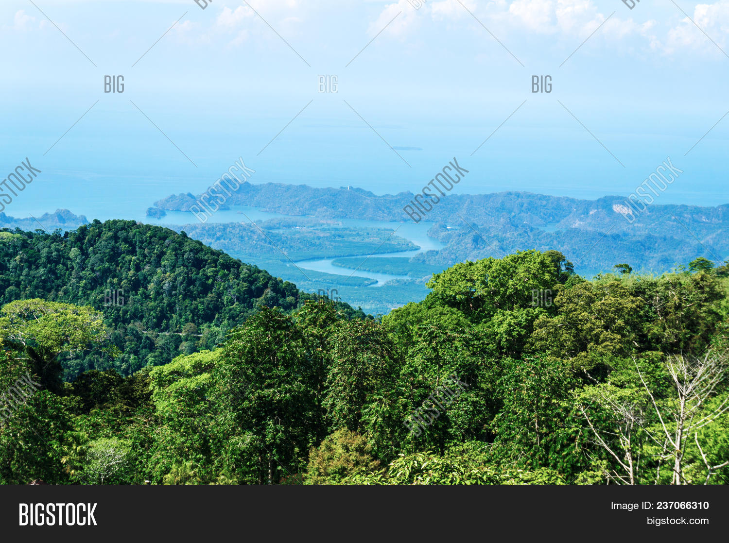 Top View Shore Delta Image & Photo (Free Trial) | Bigstock