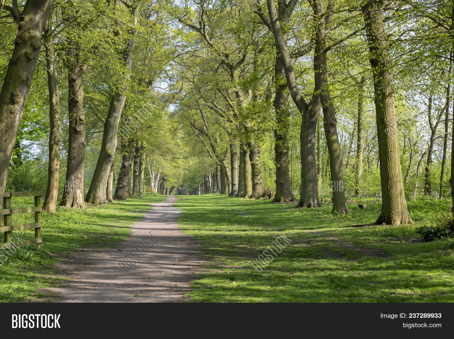 Footpath Through Green Image & Photo (Free Trial) | Bigstock