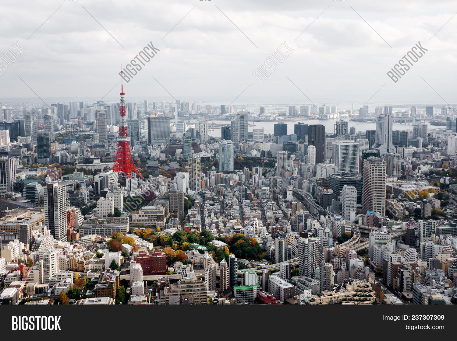 Panoramic View Tokyo Image & Photo (Free Trial) | Bigstock